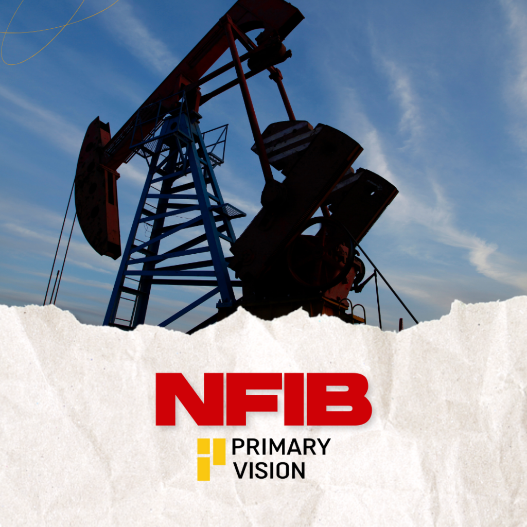NFIB Small Business Optimism Index - Primary Vision
